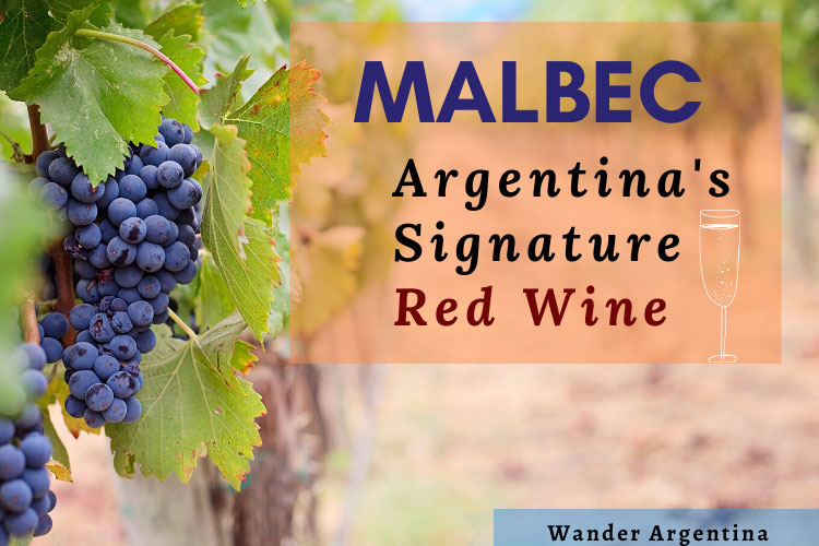 Malbec World Day – A Jeanne in the Kitchen