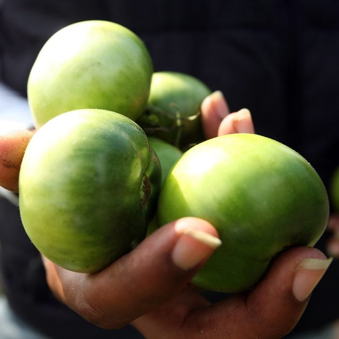 Tomato, Tomoto – A Jeanne in the Kitchen