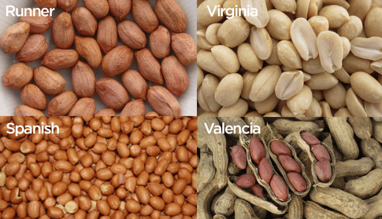 Peanuts, Goobers, Monkey Nuts and Groundnuts – A Jeanne in the Kitchen