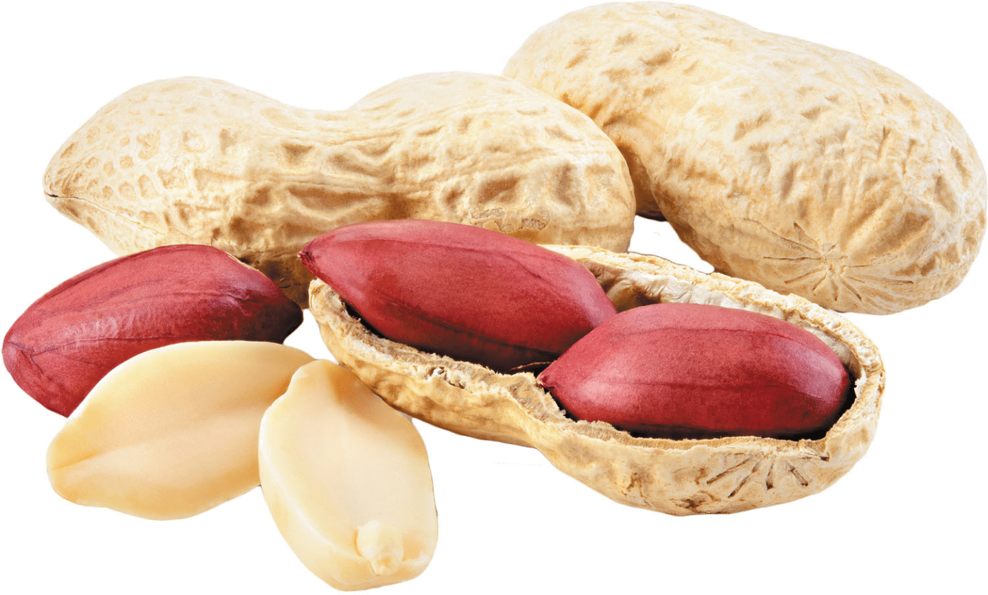 Peanuts, Goobers, Monkey Nuts and Groundnuts – A Jeanne in the Kitchen
