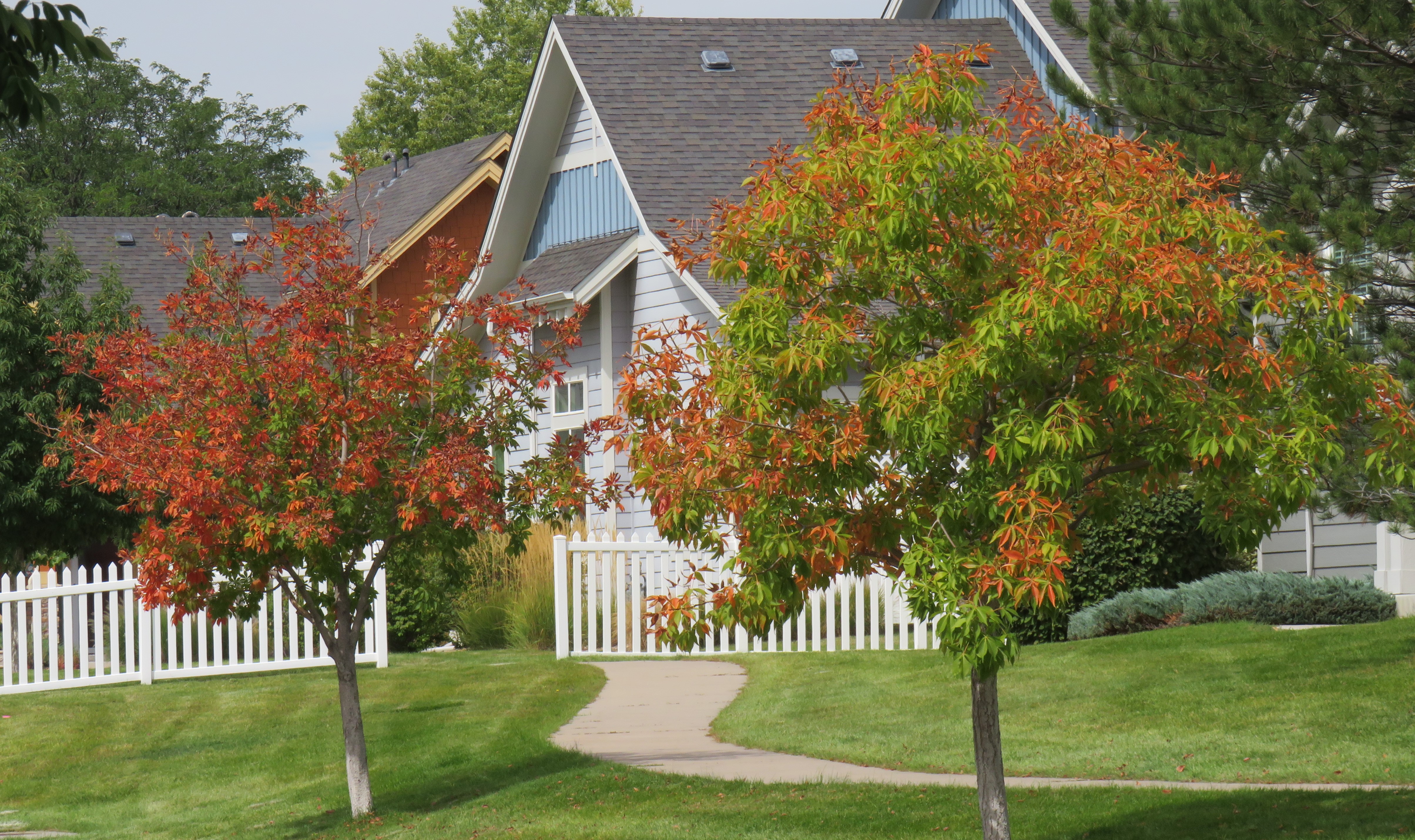 Nature Walks – Fall is Just Around the Corner – A Jeanne in the Kitchen