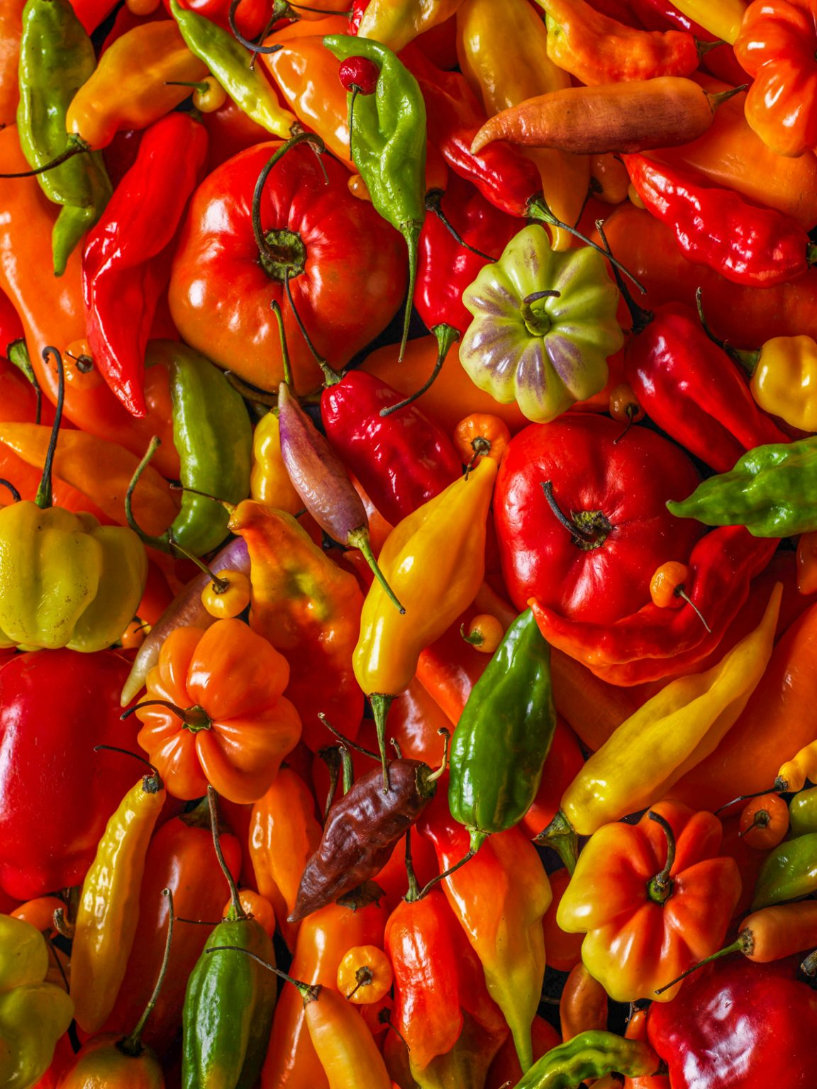 Peruvian Peppers – A Jeanne in the Kitchen