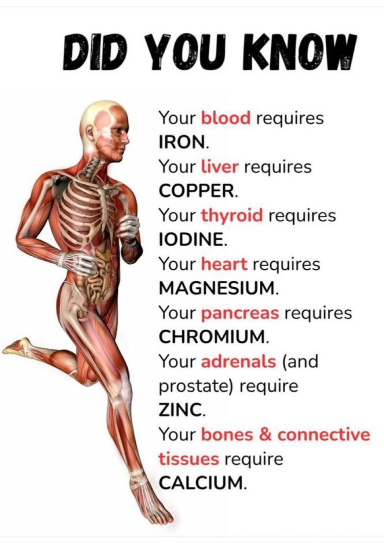 Minerals and The Body – A Jeanne in the Kitchen