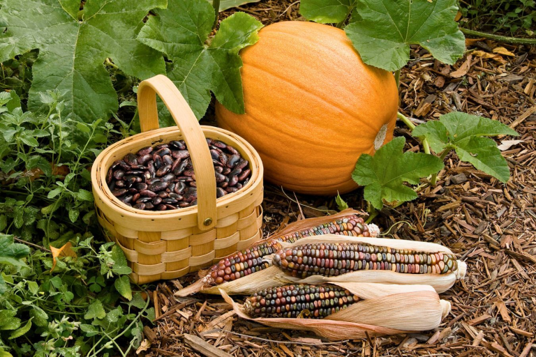 Beans, Beans, Good For Your Heart – A Jeanne in the Kitchen